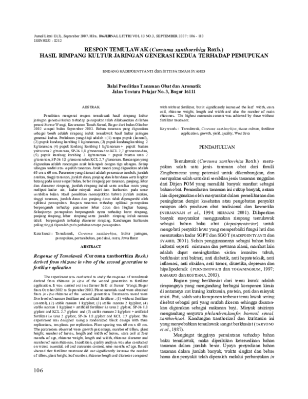 (PDF) RESPON TEMULAWAK (Curcuma xanthorrhiza Roxb.) HASIL RIMPANG ...