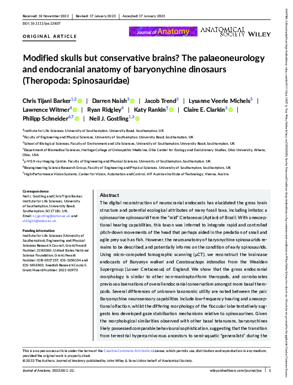 (PDF) Modified skulls but conservative brains? The palaeoneurology and endocranial anatomy of ...