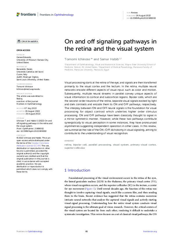 (PDF) On and off signaling pathways in the retina and the visual system