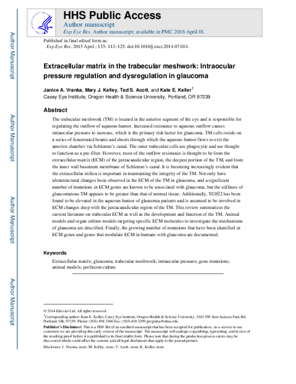 Pdf Extracellular Matrix In The Trabecular Meshwork Intraocular Pressure Regulation And