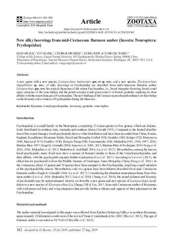 (PDF) New silky lacewings from mid-Cretaceous Burmese amber (Insecta ...