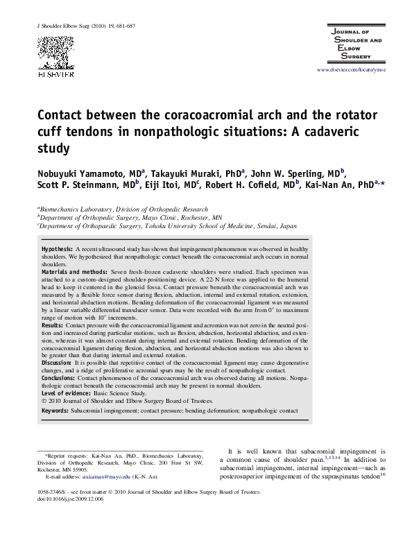 (PDF) Contact between the coracoacromial arch and the rotator cuff tendons in nonpathologic ...