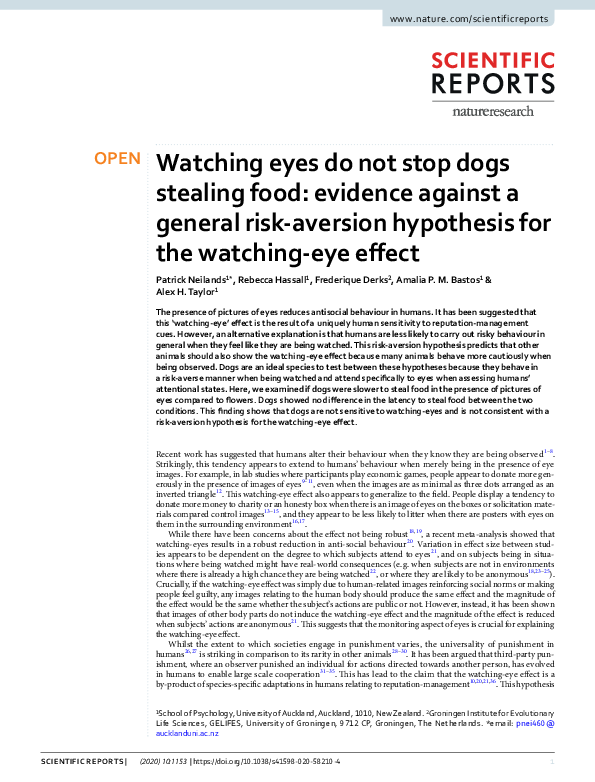 (PDF) Watching eyes do not stop dogs stealing food: evidence against a ...