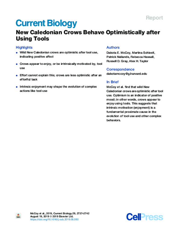 (PDF) New Caledonian Crows Behave Optimistically after Using Tools