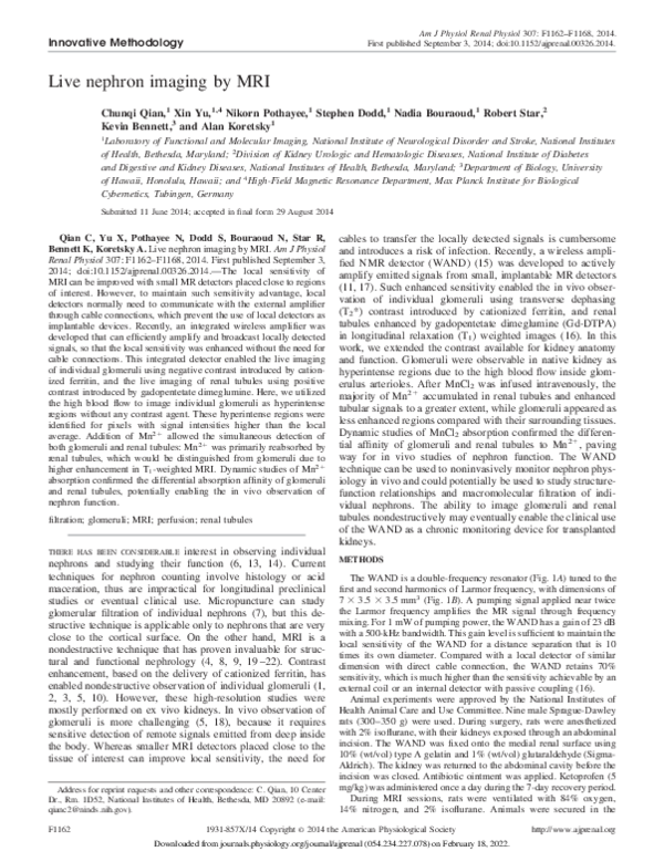 (PDF) Live nephron imaging by MRI
