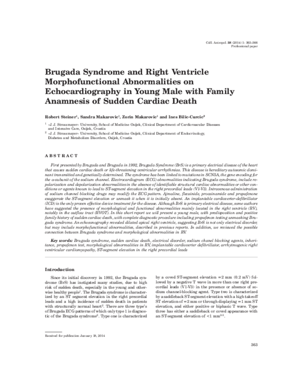 (PDF) Brugada syndrome and right ventricle morphofunctional ...