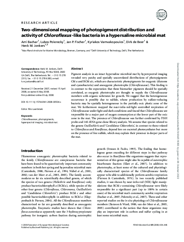 Two-dimensional mapping of photopigment distribution and activity of Chloroflexus-like bacteria ...