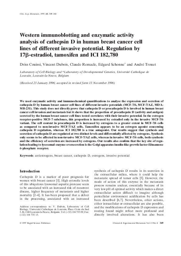 (PDF) Western immunoblotting and enzymatic activity analysis of ...