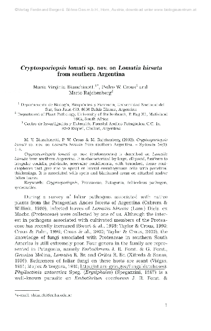 (PDF) Cryptosporiopsis lomati sp. nov. on Lomatia hirsuta from southern ...