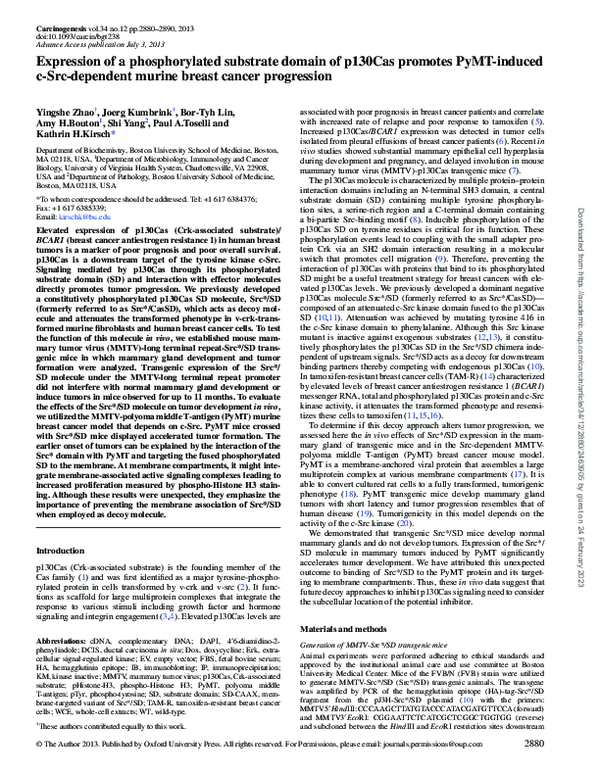 (PDF) Journal: Carcinogenesis Manuscript ID: CARCIN-2012-01112.R2 ...