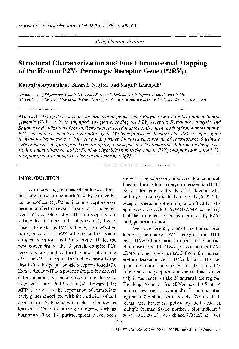 Structural characterization and fine chromosomal mapping of the human ...