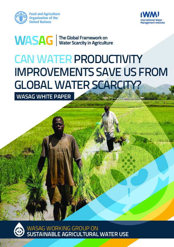 (PDF) Can water productivity improvements save us from global water ...