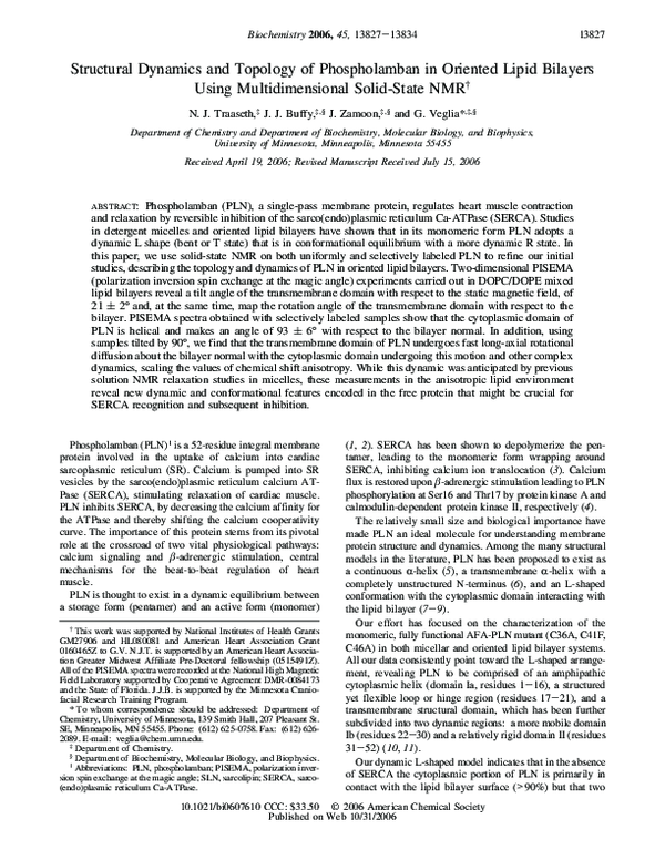 (PDF) Structural Dynamics and Topology of Phospholamban in Oriented Lipid Bilayers Using ...