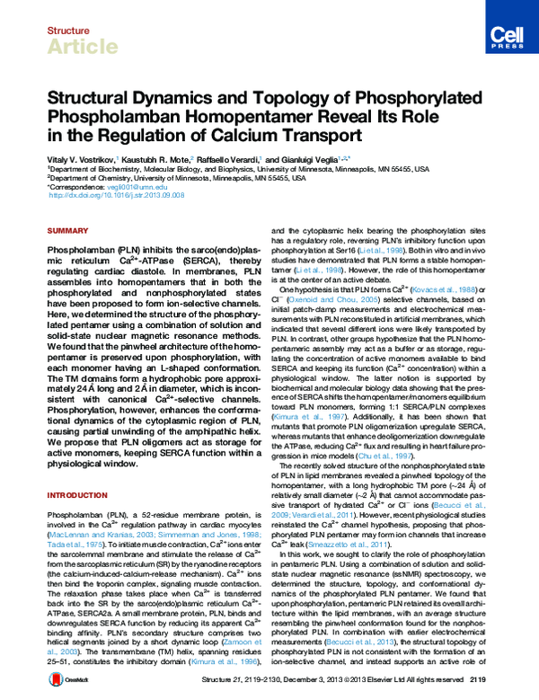 (PDF) Structural Dynamics and Topology of Phosphorylated Phospholamban ...