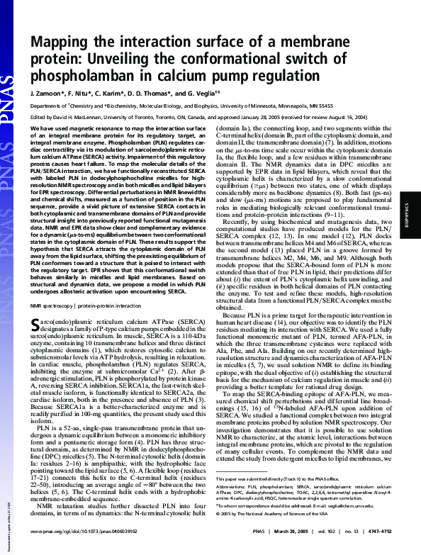 (PDF) Mapping the interaction surface of a membrane protein: Unveiling ...