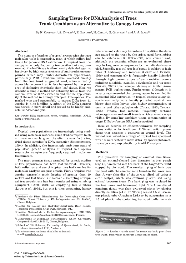 (PDF) Sampling Tissue for DNA Analysis of Trees: Trunk Cambium as an ...