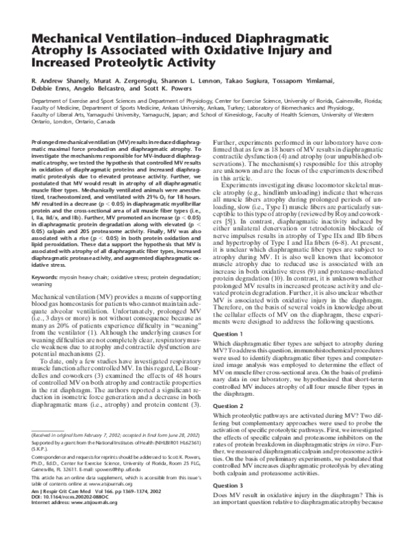 (PDF) Mechanical Ventilation–induced Diaphragmatic Atrophy Is ...