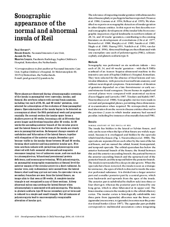 (PDF) Sonographic appearance of the normal and abnormal insula of Reil