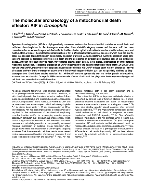 (PDF) The molecular archaeology of a mitochondrial death effector: AIF ...