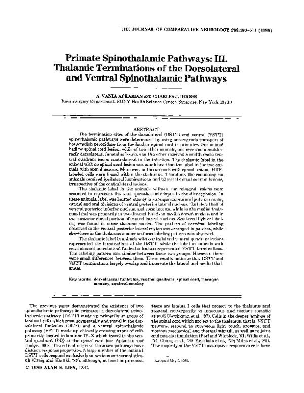 (PDF) Primate spinothalamic pathways: III. Thalamic terminations of the ...