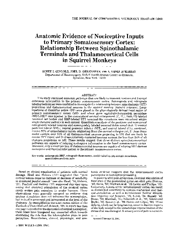 (PDF) Anatomic evidence of nociceptive inputs to primary somatosensory ...