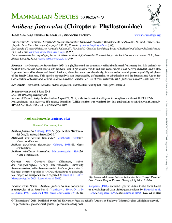 (PDF) Artibeus fraterculus (Chiroptera: Phyllostomidae)