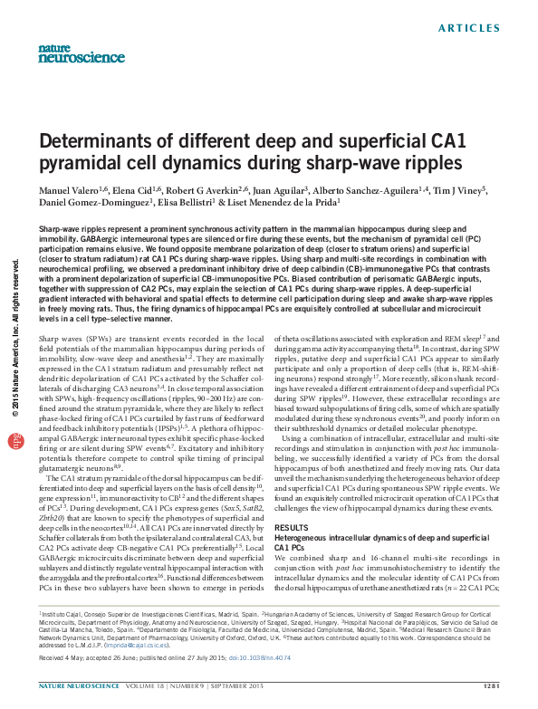 (PDF) Determinants of different deep and superficial CA1 pyramidal cell ...