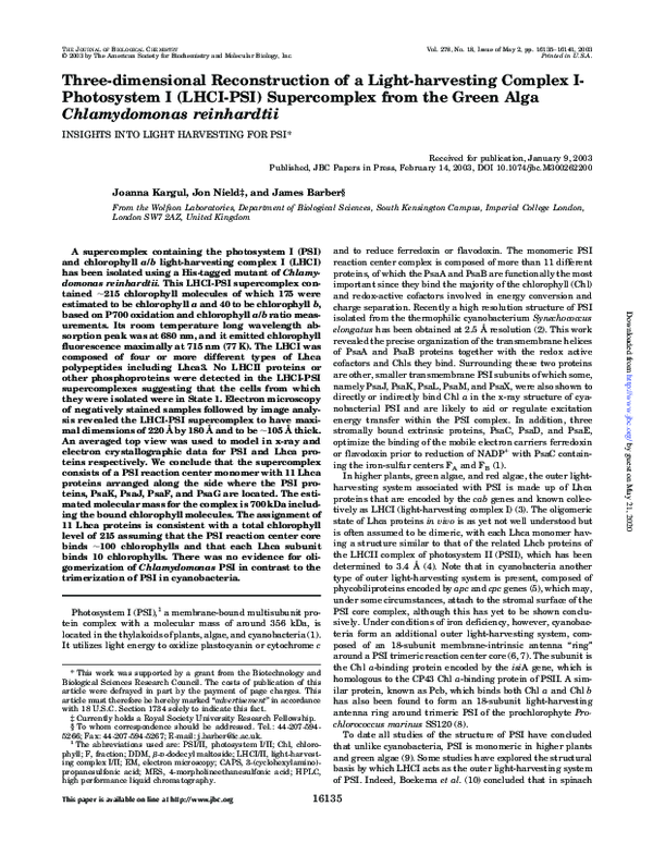 (PDF) Three-dimensional Reconstruction of a Light-harvesting Complex I ...