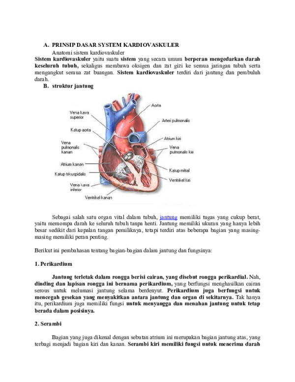 (PDF) PRINSIP DASAR SYSTEM KARDIOVASKULER