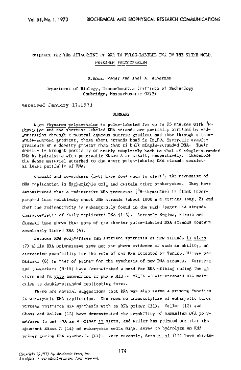 Evidence for the attachment of RNA to pulse-labeled DNA in the slime mold