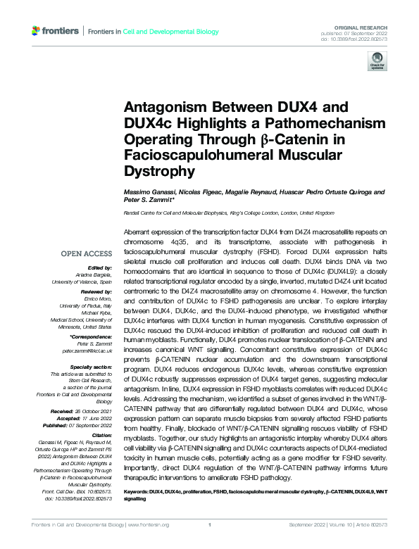 (PDF) Antagonism Between DUX4 and DUX4c Highlights a Pathomechanism ...