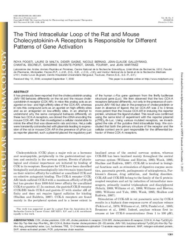 (PDF) The Third Intracellular Loop of the Rat and Mouse Cholecystokinin ...