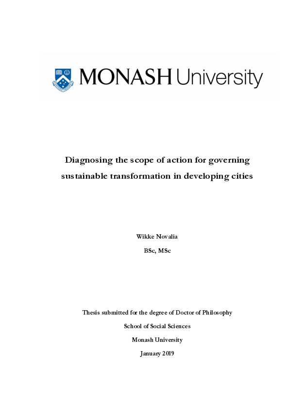 (PDF) Diagnosing the scope of action for governing sustainable ...