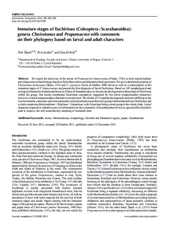 (PDF) Immature stages of Euchirinae (Coleoptera:Scarabaeoidea): genera ...