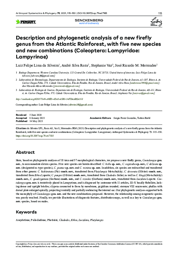 (PDF) Description and phylogenetic analysis of a new firefly genus from ...