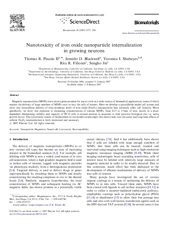 (PDF) Nanotoxicity of iron oxide nanoparticle internalization in ...
