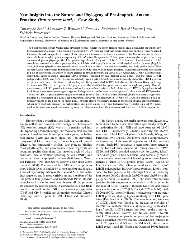 (PDF) New Insights into the Nature and Phylogeny of Prasinophyte ...