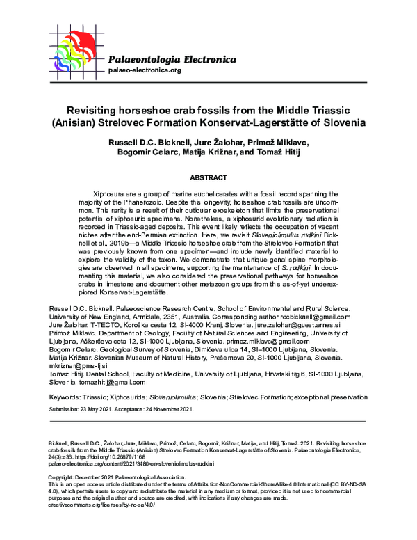 (PDF) Revisiting horseshoe crab fossils from the Middle Triassic ...