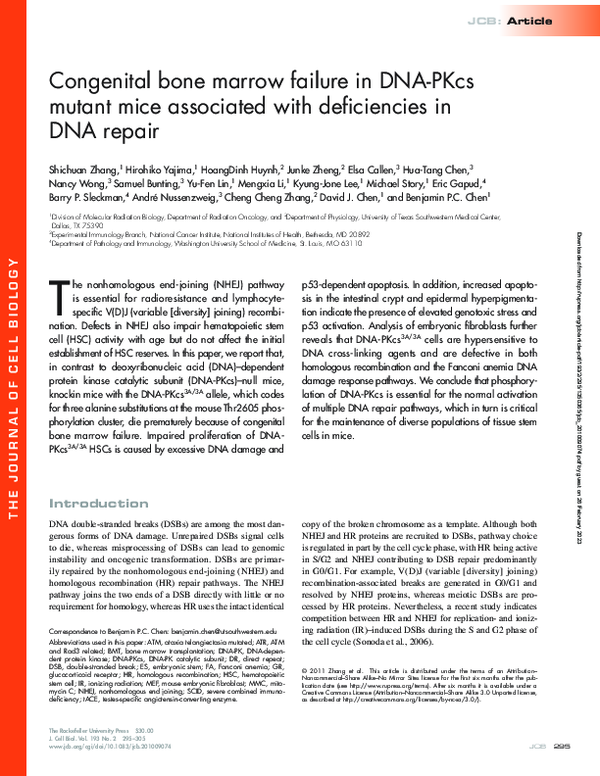 (PDF) Congenital bone marrow failure in DNA-PKcs mutant mice associated ...