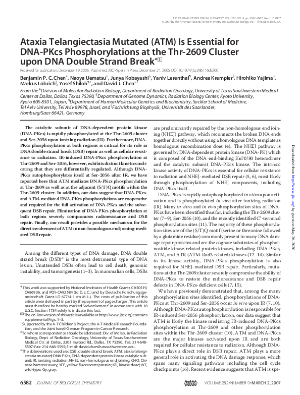 (PDF) Ataxia Telangiectasia Mutated (ATM) Is Essential for DNA-PKcs ...