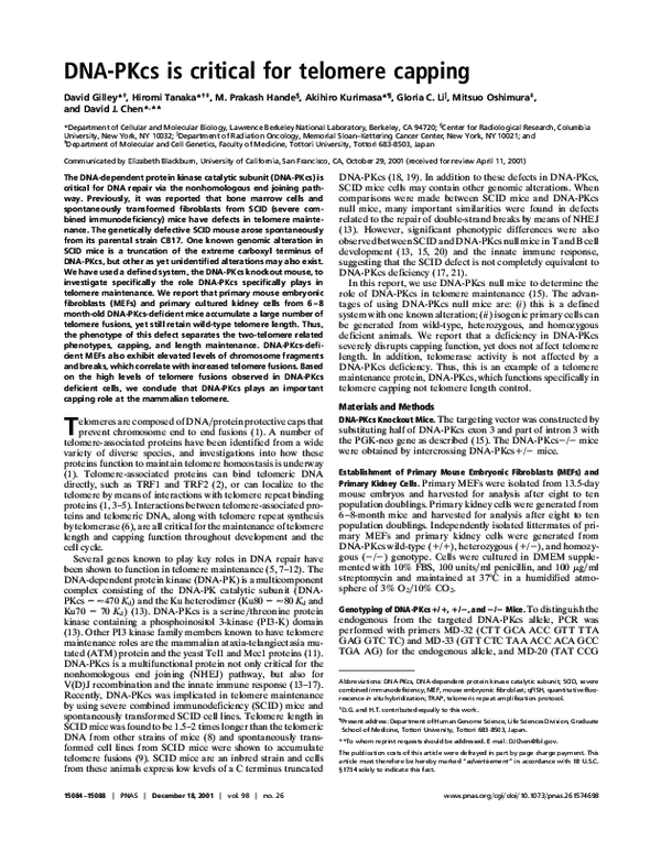 (PDF) DNA-PKcs is critical for telomere capping | David Chen - Academia.edu