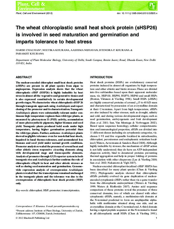 (PDF) The wheat chloroplastic small heat shock protein (sHSP26) is ...