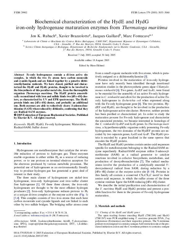 (PDF) Biochemical characterization of the HydE and HydG iron-only ...