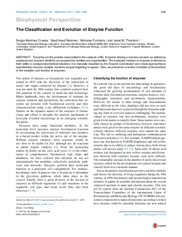 (PDF) The Classification and Evolution of Enzyme Function