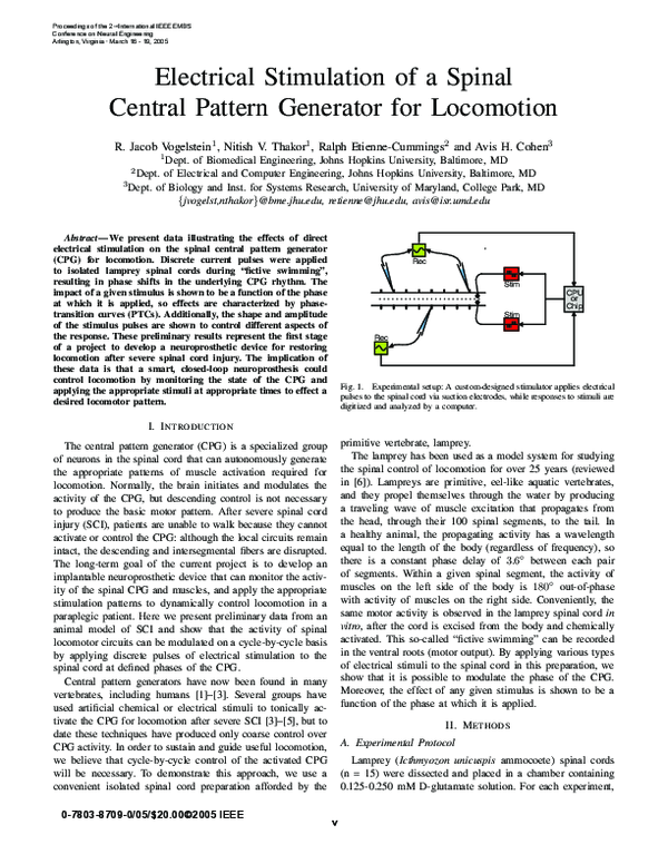 (PDF) Electrical Stimulation of a Spinal Central Pattern Generator for Locomotion