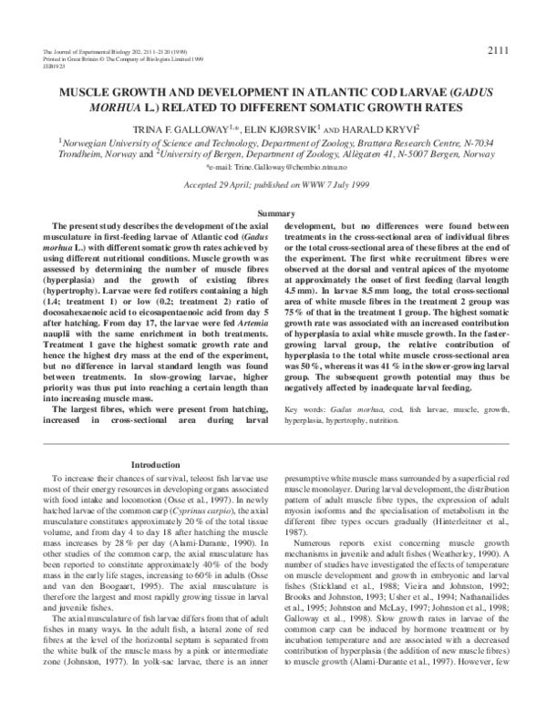 (PDF) Muscle growth and development in Atlantic cod larvae (Gadus ...