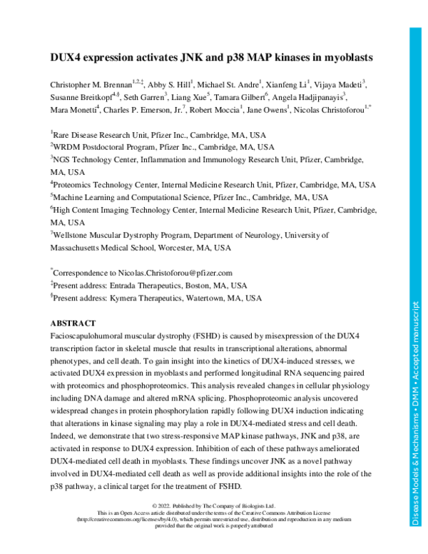 (PDF) DUX4 expression activates JNK and p38 MAP kinases in myoblasts ...