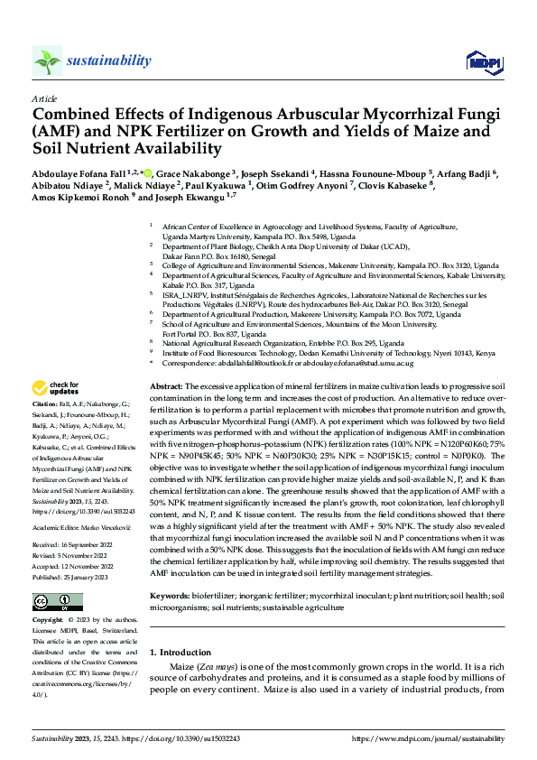 (PDF) Combined Effects of Indigenous Arbuscular Mycorrhizal Fungi (AMF) and NPK Fertilizer on ...