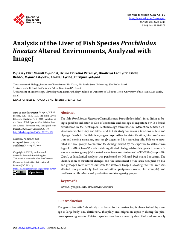 (PDF) Analysis of the Liver of Fish Species Prochilodus lineatus ...