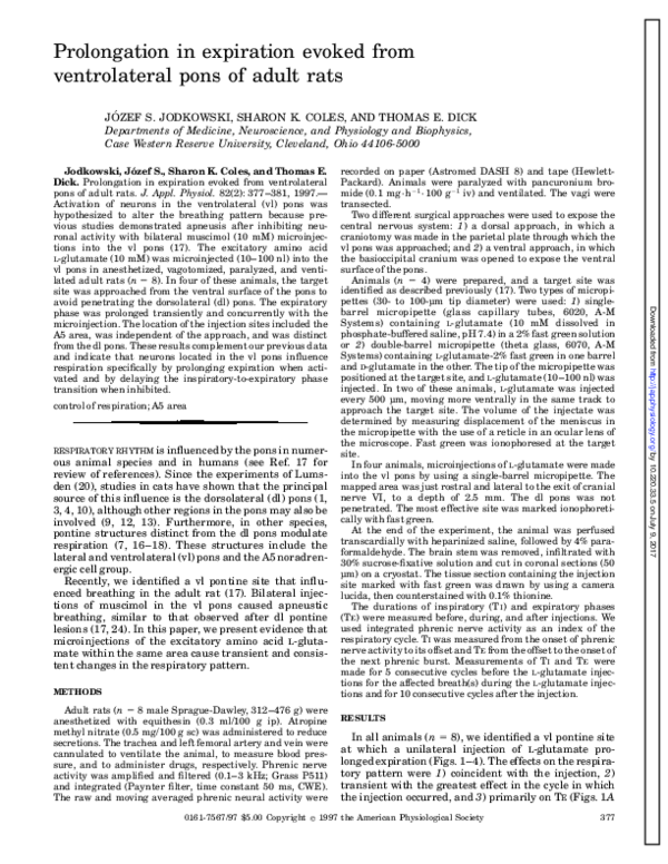 (PDF) Prolongation in expiration evoked from ventrolateral pons of ...